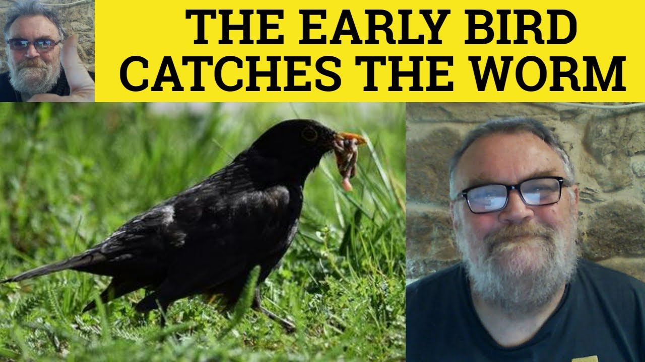 🔵 The Early Bird Catches The Worm Meaning - The Early Bird Catches The ...