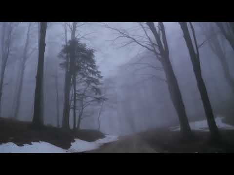 Freenomo - Torba (Official Music Video)