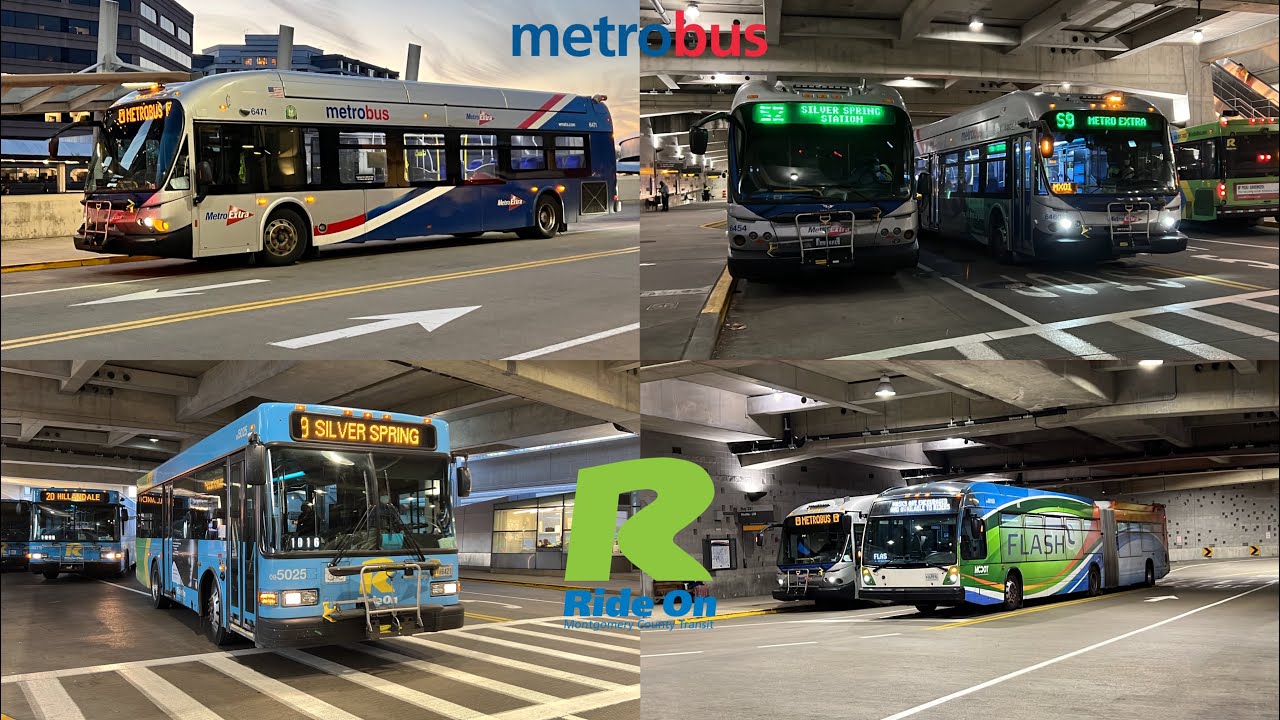 WMATA Metrobus and MCDOT Ride On Bus Action in Silver Spring - YouTube