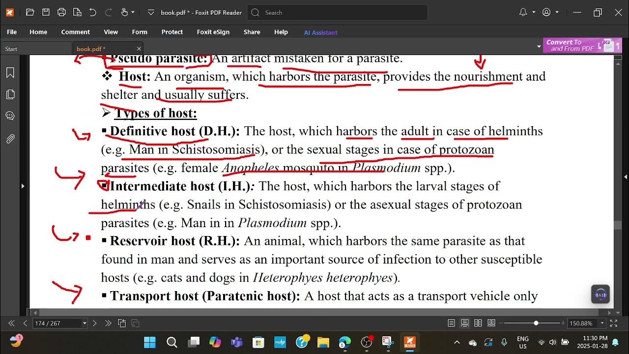 paral lec 1 part 1 - YouTube