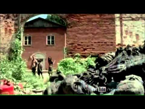 The Walking Dead  Season 3 Episode 12