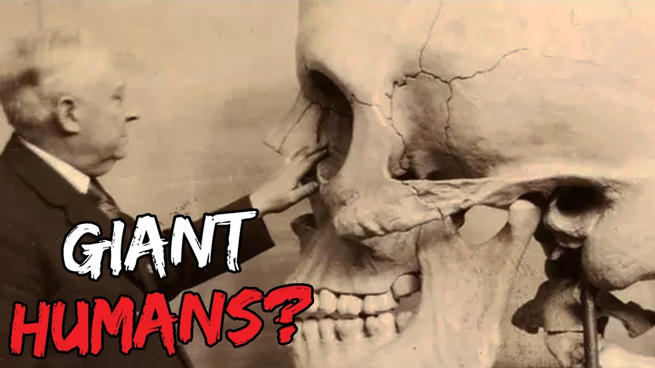 Extinction Level Events That Changed Everything - YouTube