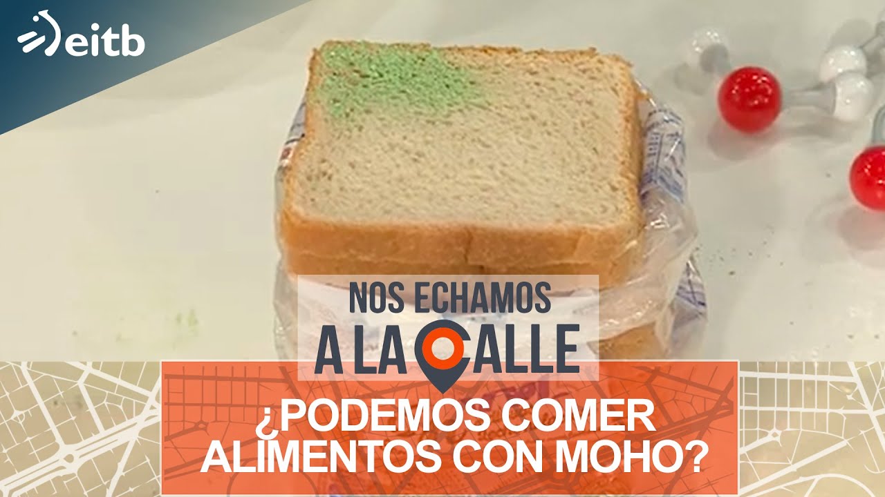 ¿Podemos comer alimentos con moho? - YouTube