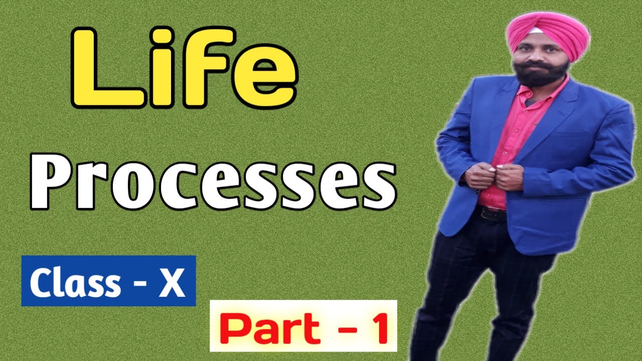 life-processes-class-10-explanation-introduction-part-1-youtube