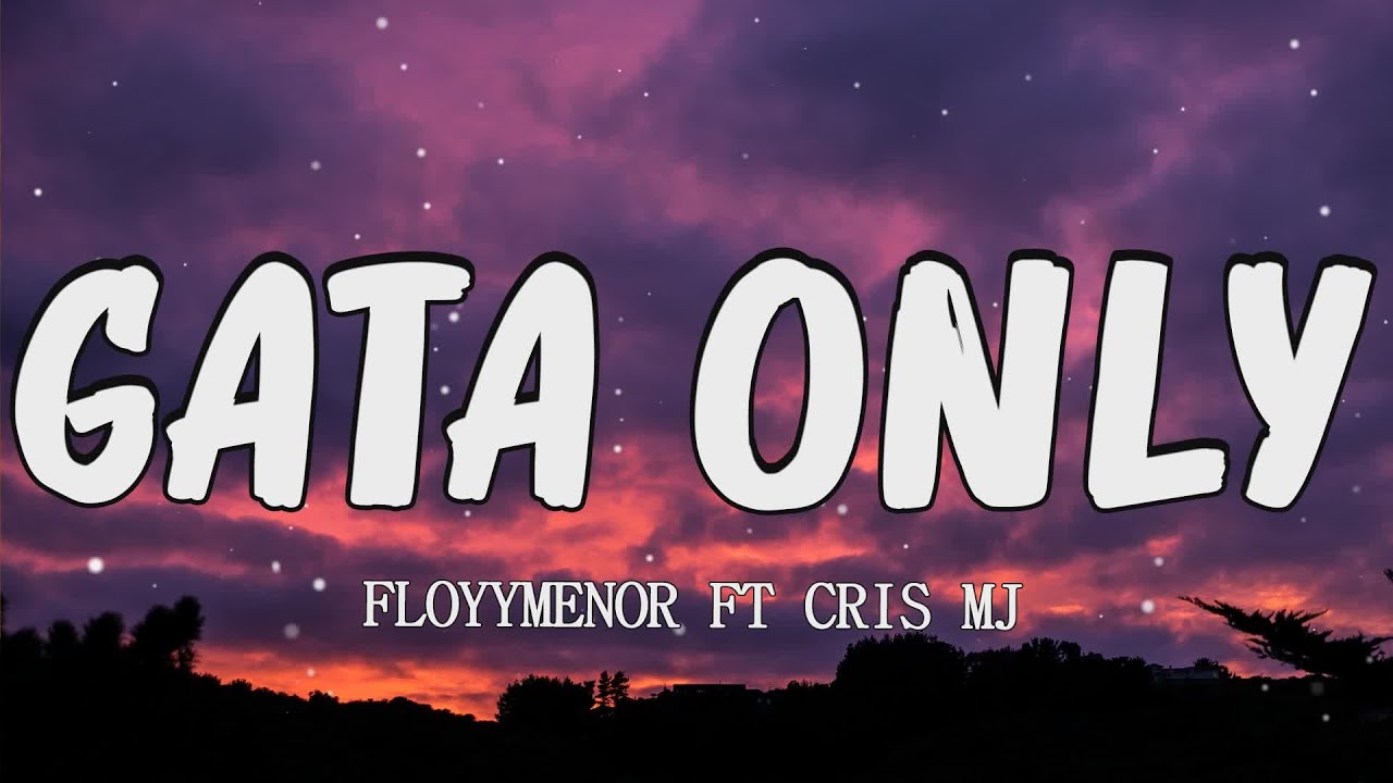 FloyyMenor - GATA ONLY ft. Cris MJ (Letra/Lyrics) - YouTube