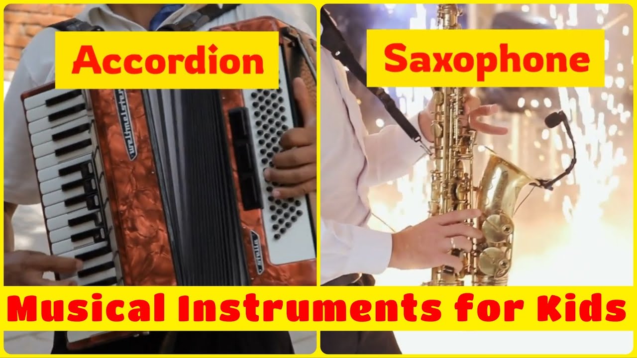 Learn Musical Instruments : Learn, Create, and Express Yourself for ...