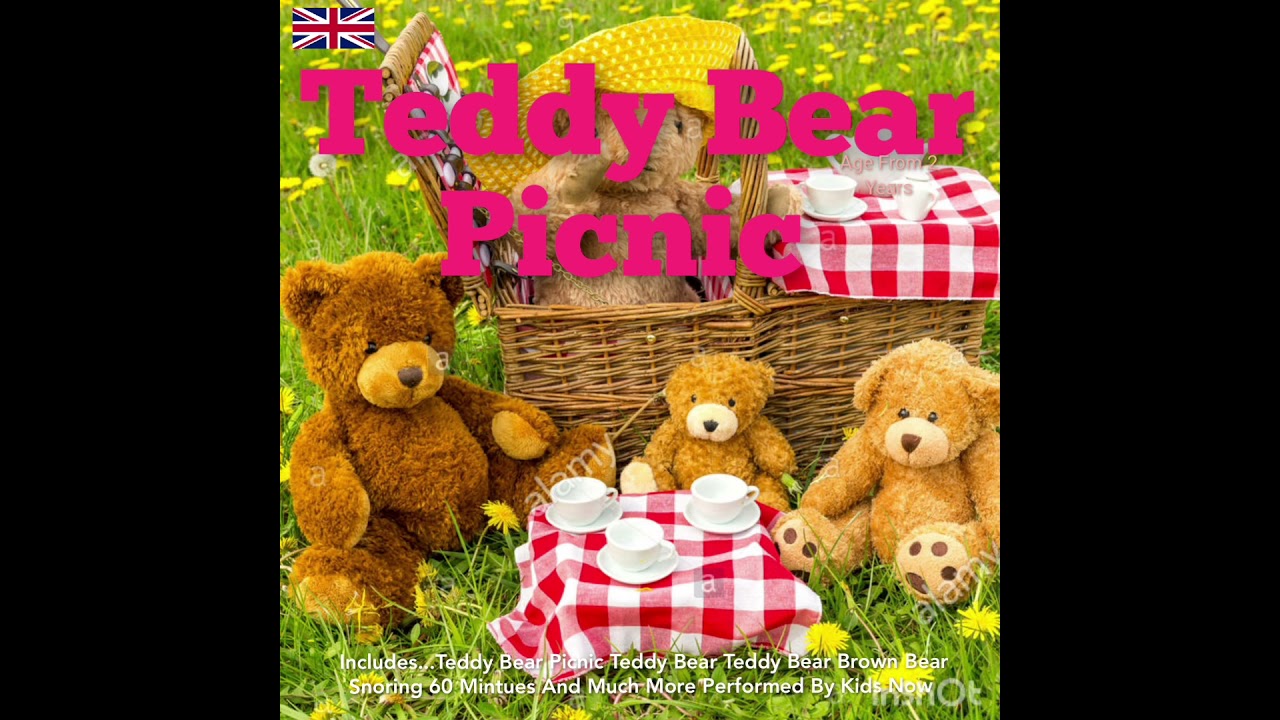 Brown Bear Snoring - YouTube