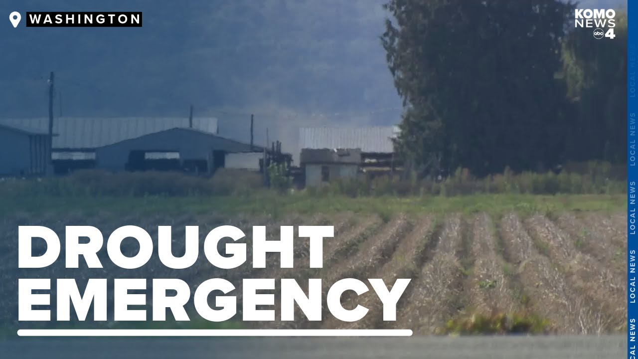 Drought emergency declared for most of Washington state - YouTube