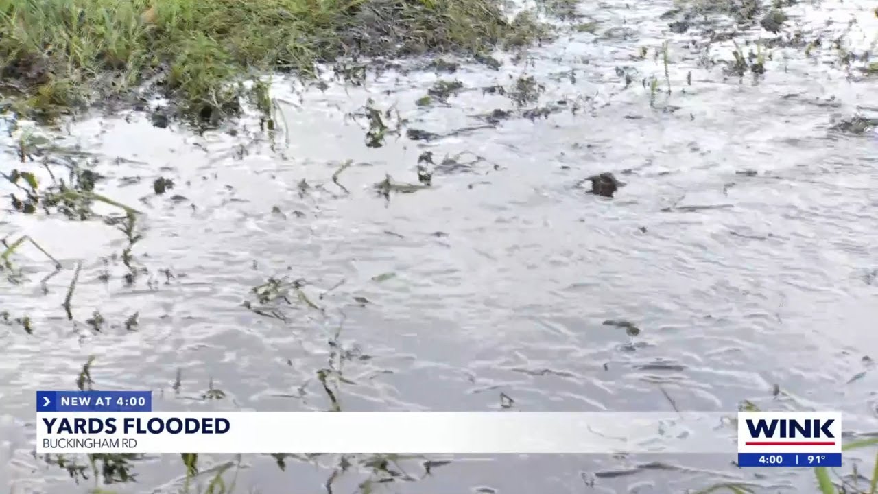 Neighbors frustrated with constant flooding in Buckingham - YouTube