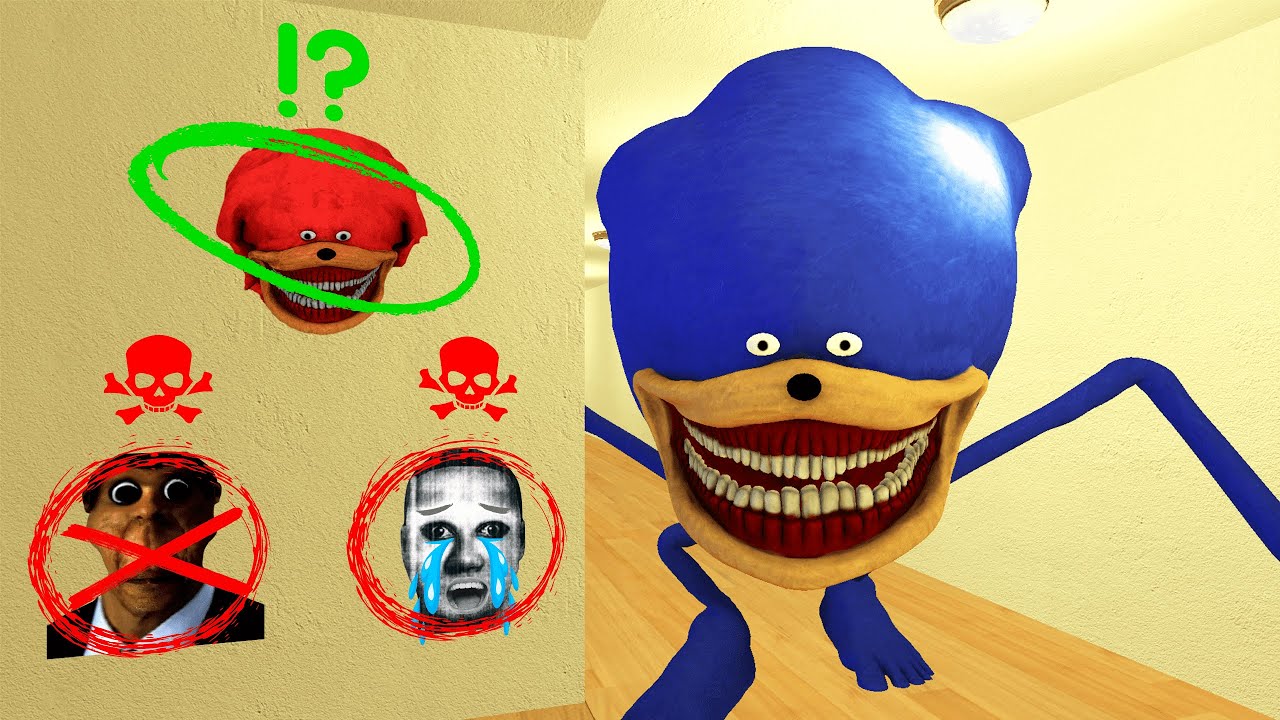 Sonic Lost His Friend Knuckles And Wants Me To Kill Obunga And Selena ...