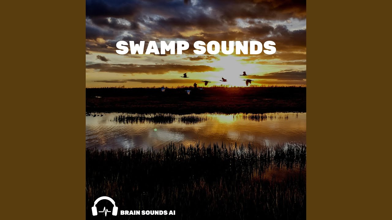 Swamp Sounds, Pt. 20 - YouTube