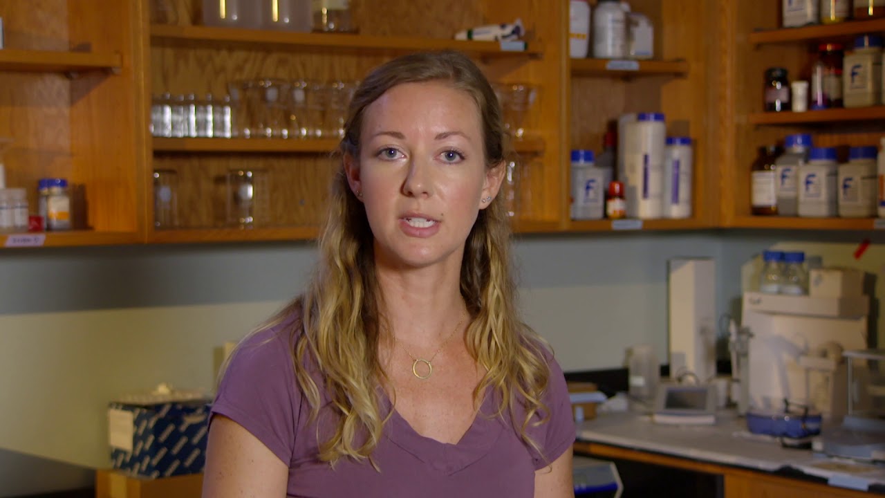 Kristen Dahl: The Fish Detective (Gulf Dispatches) - YouTube