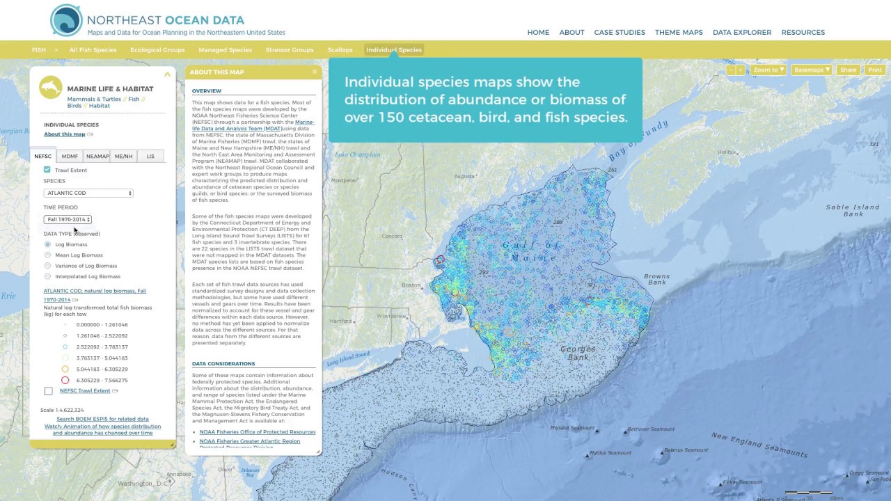 Tutorial: Introduction to Marine Life and Habitat Theme Maps - YouTube