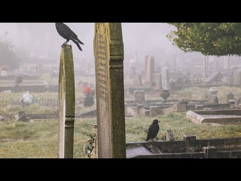 CENAZEDE GELEN MUSALLAT