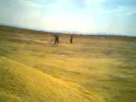 harman zaman bir baska güzel ( Dengêkî zelal ser bêderan)