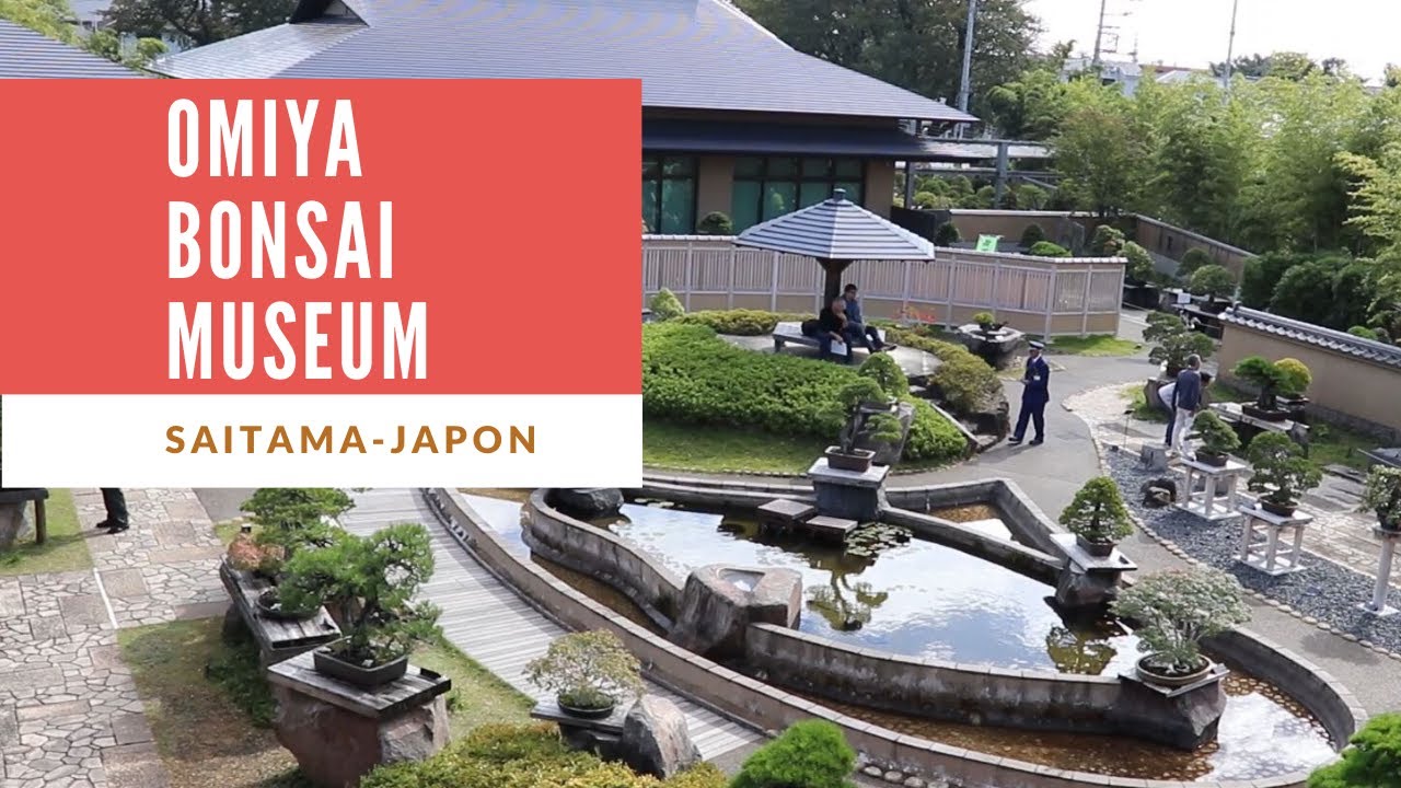 el MEJOR museo del MUNDO🍁 Omiya BONSAI Village (visitando el museo de ...
