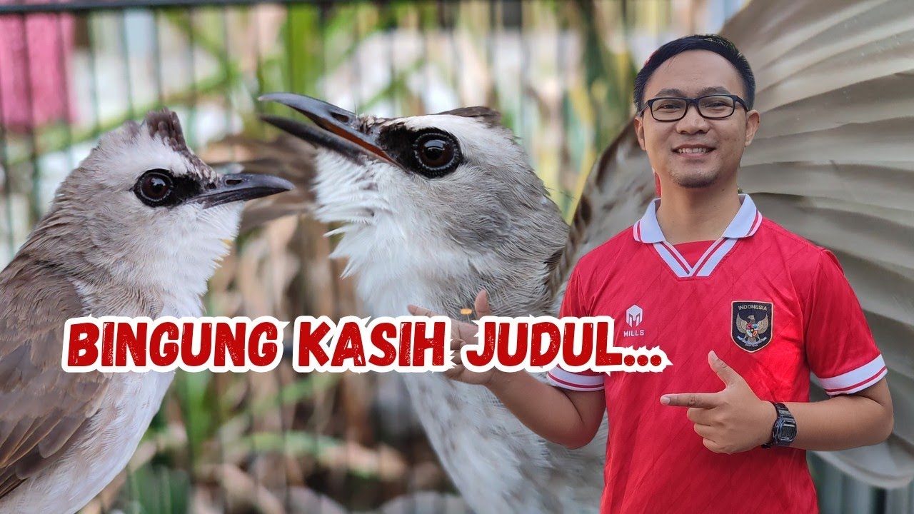 CONTOH BURUNG TRUCUKAN SPEK LENGKAP BODY BAGUS, COCOK UNTUK REFERENSI ...