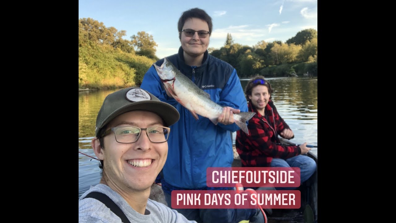 Pink Dayz of Summer!! Catching Salmon in Western Washington - YouTube