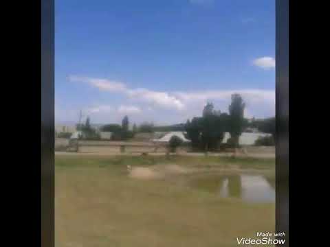 QOBUSTAN RAYONU CEYIRLI KENDI