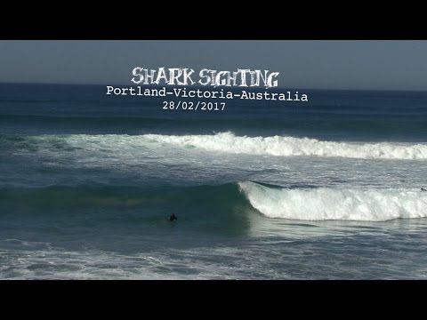 Shark Sighting - Portland, Victoria, Australia - 28/2/2017 - YouTube
