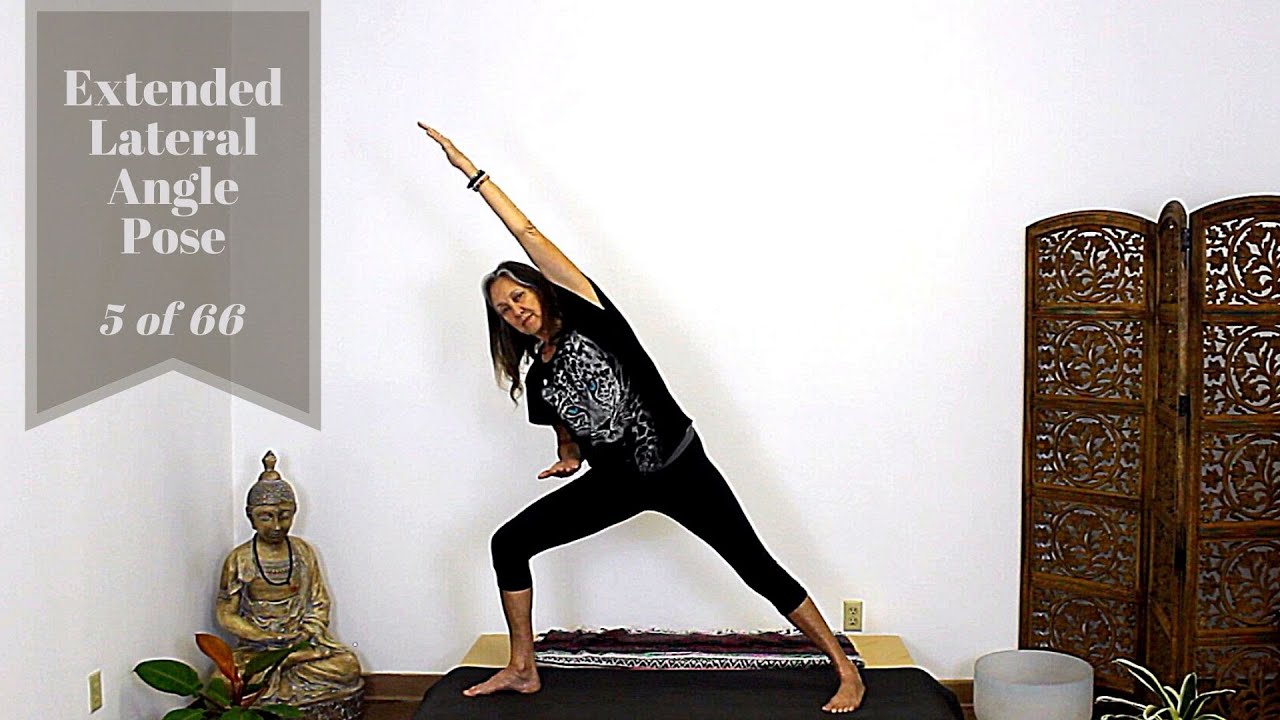 Extended Lateral Angle Pose - Utthita Parsvakonasana 5 of 66 - YouTube