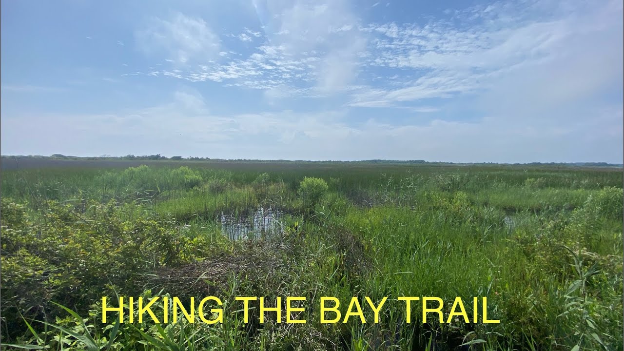 Hiking the Bay Trail at Back Bay National Wildlife Refuge - YouTube