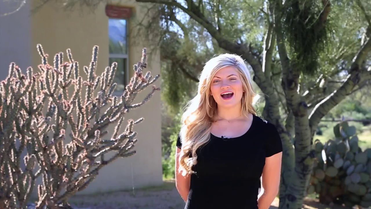 28825 N 160TH St, Scottsdale, AZ 85262 Taylor Moran - YouTube