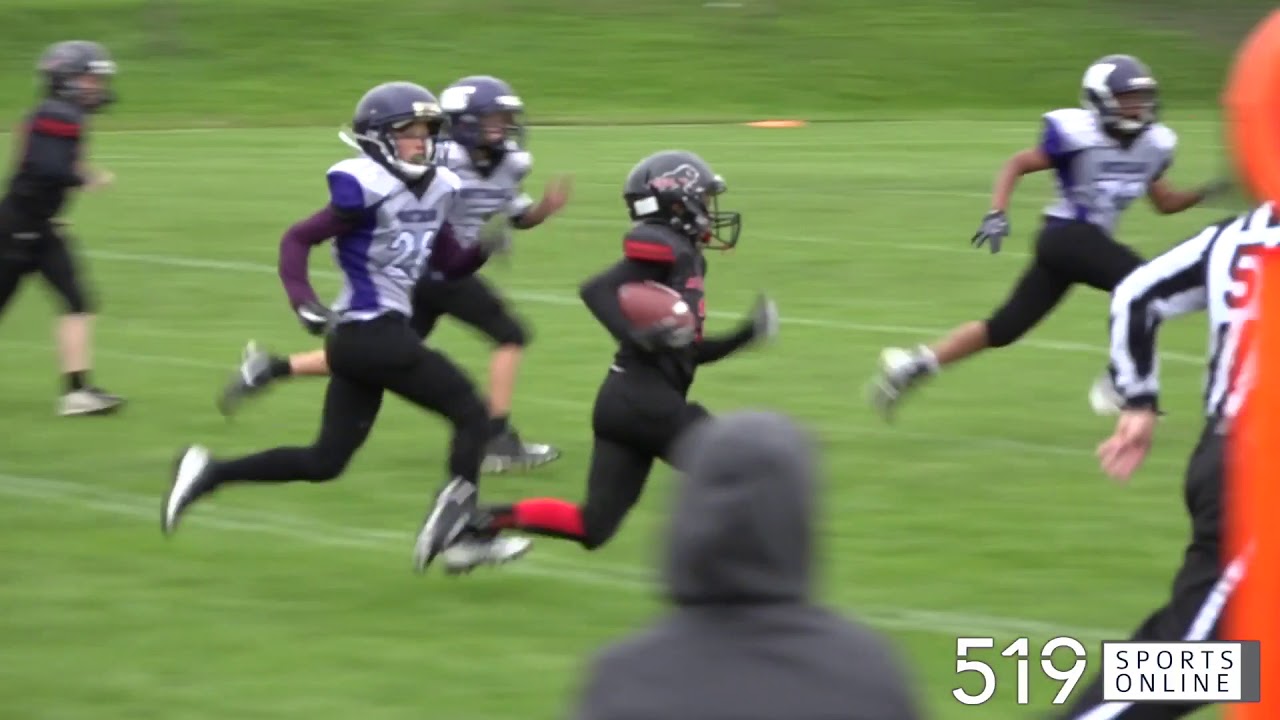 OFL Peewee - Brantford Bisons vs Waterloo Region Predators - YouTube