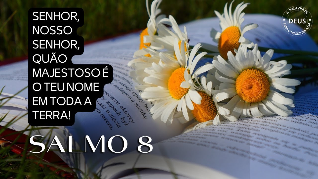 SALMO 8 - A MAJESTADE DE DEUS REVELADA! - YouTube