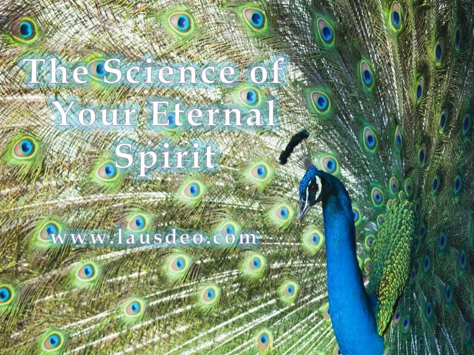 The Science of Your Eternal Spirit - YouTube