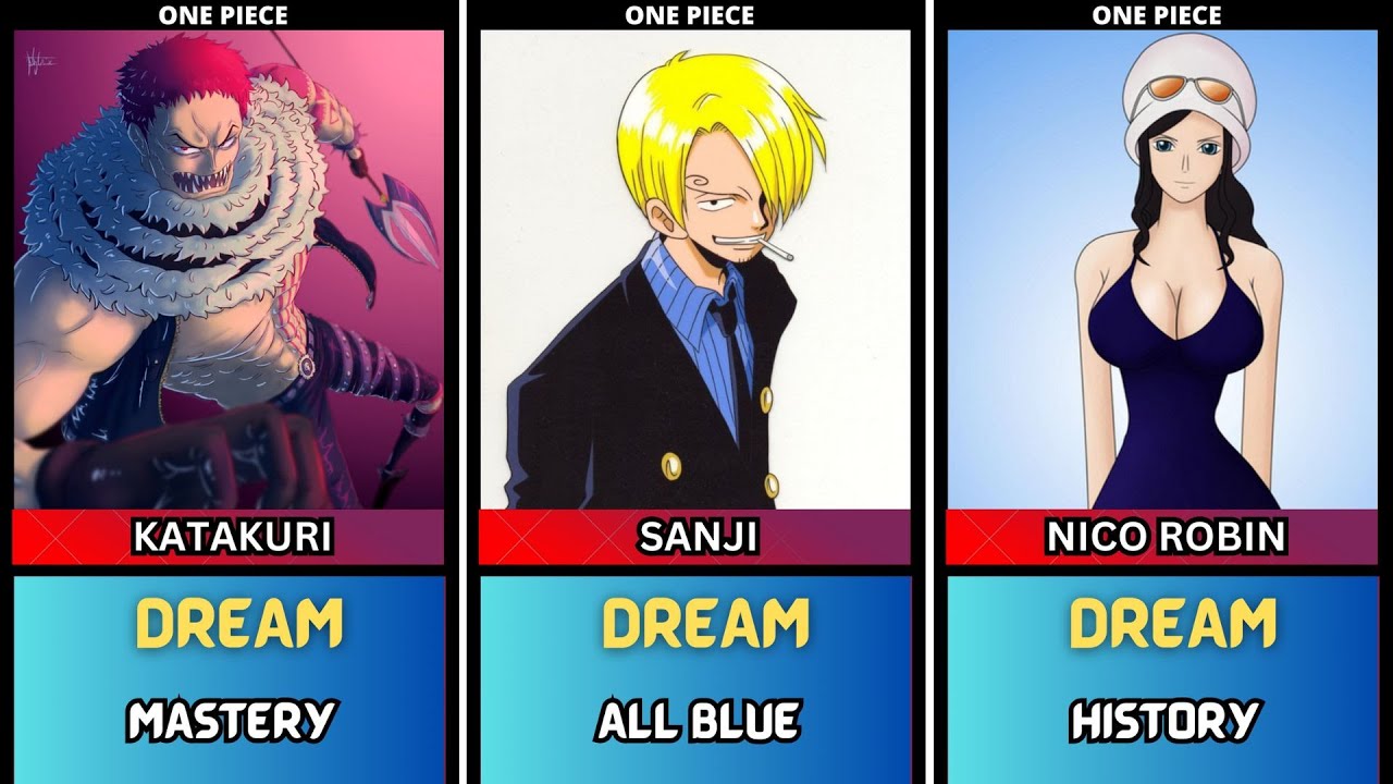 WHAT IS THE DREAM OF EVERY ONE PIECE CHARACTERS? - YouTube