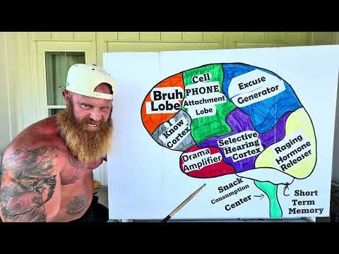 The Anatomy of a Middle Schooler’s Brain 