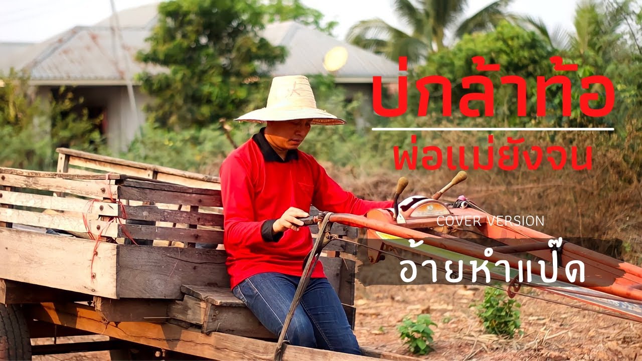 บ่กล้าท้อ แม่พ่อยังจน - ตัส ชนะชัย : COVER VERSION : อ้ายหำแป็ด【ถ่ายทำ ...