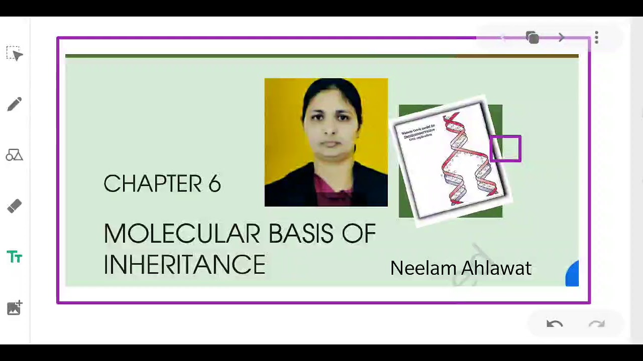 29/04/20, Ch 6,Human genome project, Class 12 - YouTube