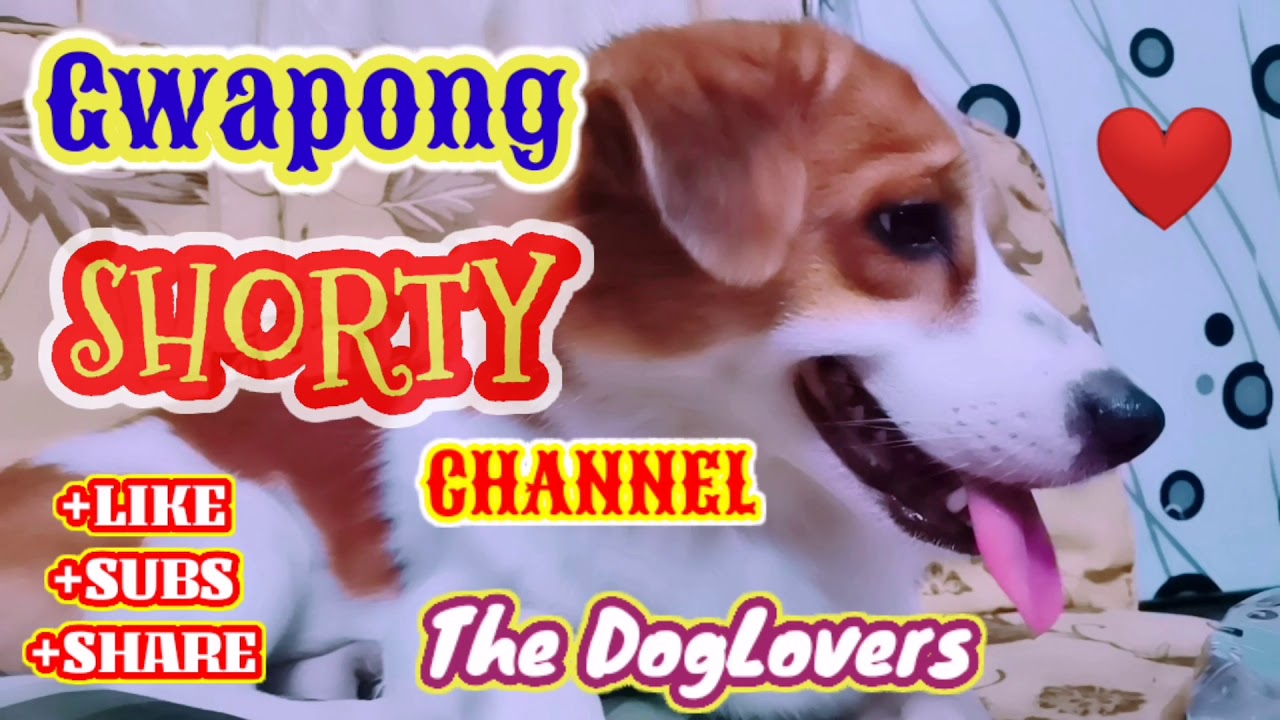 Gwapong Shorty Channel (Intro) - YouTube
