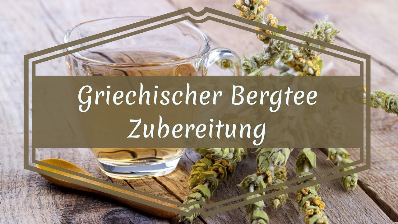 Zubereitung Griechischer Bergtee
