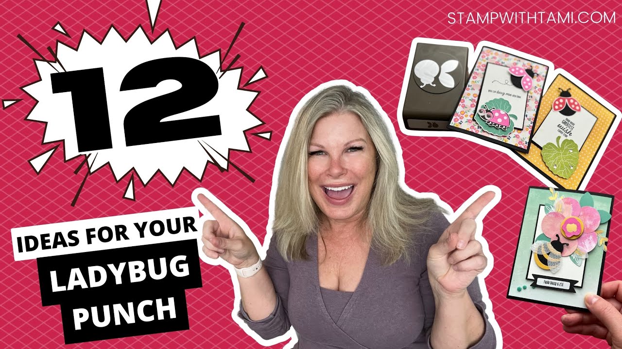🔴 Awesome ideas for your ladybug punch! 🐞 [Ladybug Series Cards 1-3 ...