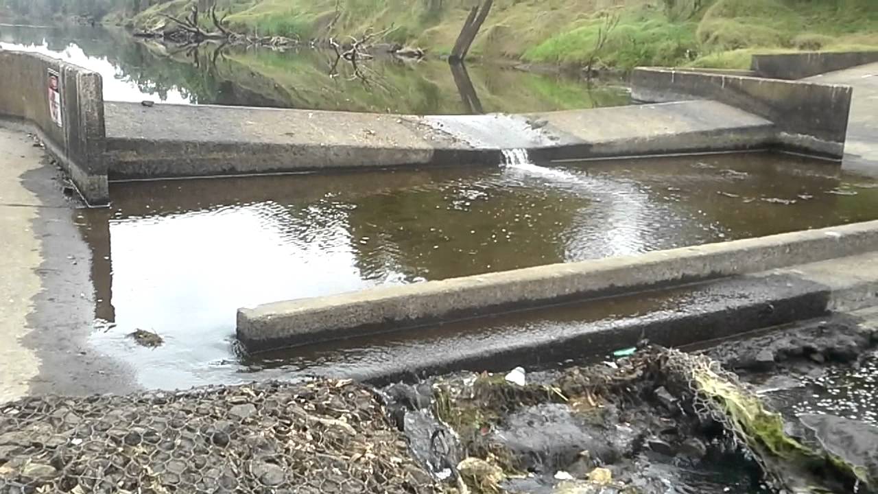 Mary River Weir Art Space - YouTube