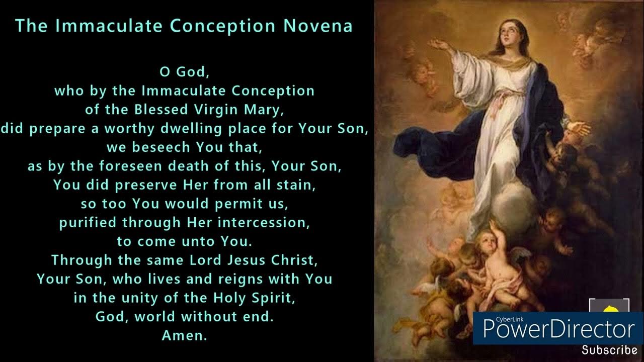 Powerful Novena to the Immaculate Conception | 🙏 Day 1: Introduction to the Immaculate ...