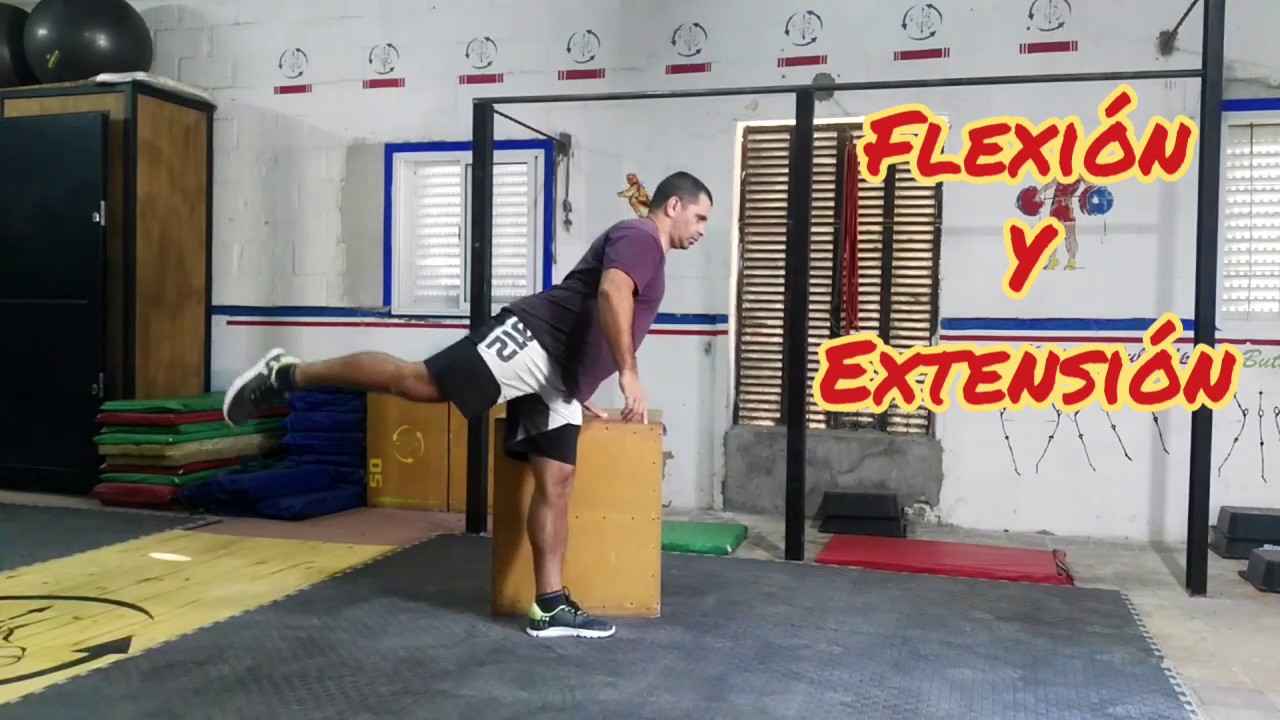 Flexionar y Extender - YouTube