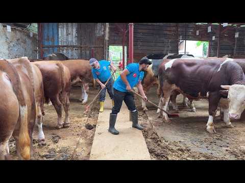 KURBANLIK BAKIMI #8 2026