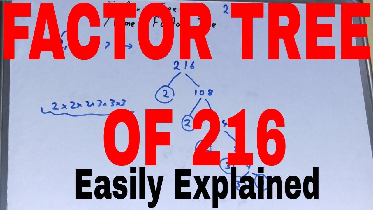 Factor Tree Of 216 How To Draw Factor Tree Of 216 find Factor Tree Of