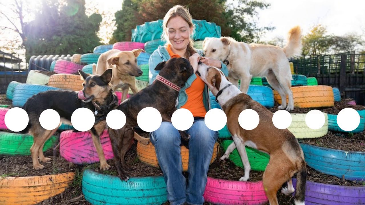 Dogs4Rescue's Emma Billington on the Lockdown Puppy Surge - YouTube