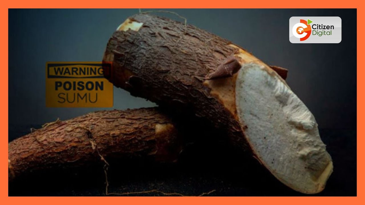Poisonous cassava kills a 7- year old child in Nyamira North - YouTube