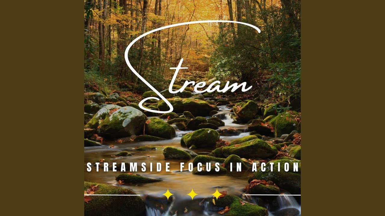 Stream's Tranquil Workflow - YouTube Music