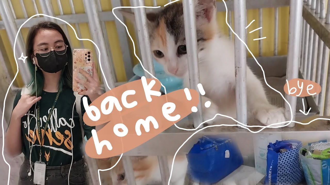 feu mnl and sum days in between *i moved out, again!* peep sum cute ...