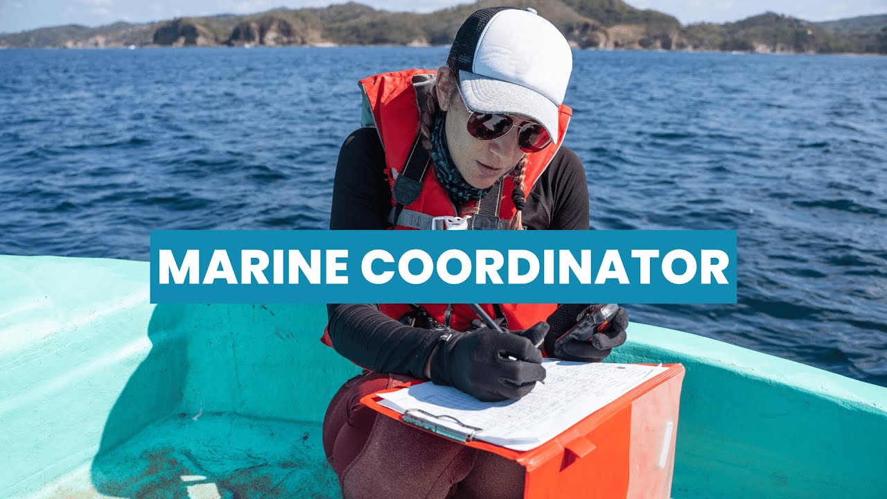 What is the role of a Marine Coordinator ? | Career Guide - Job ...
