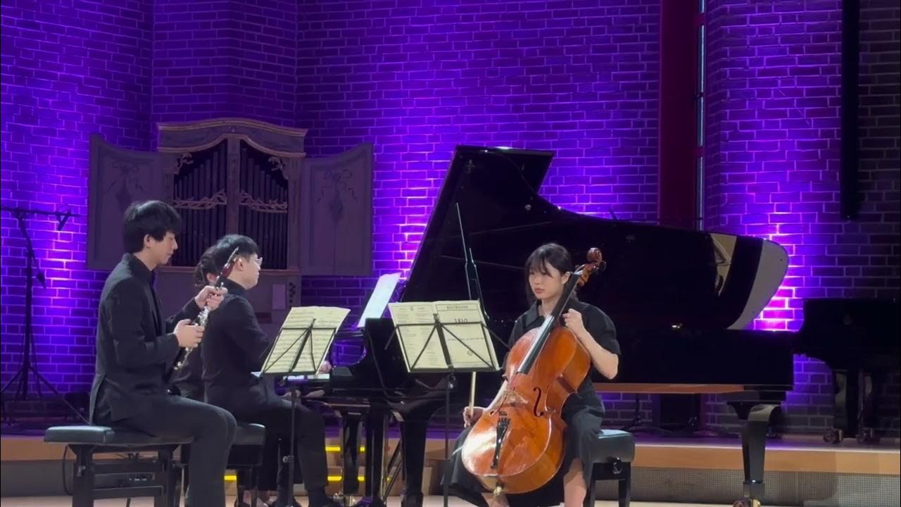Beethoven Trio Op.11 in B-flat major “Gassenhauer” - YouTube