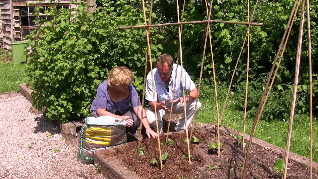 Mulch with Strulch - YouTube