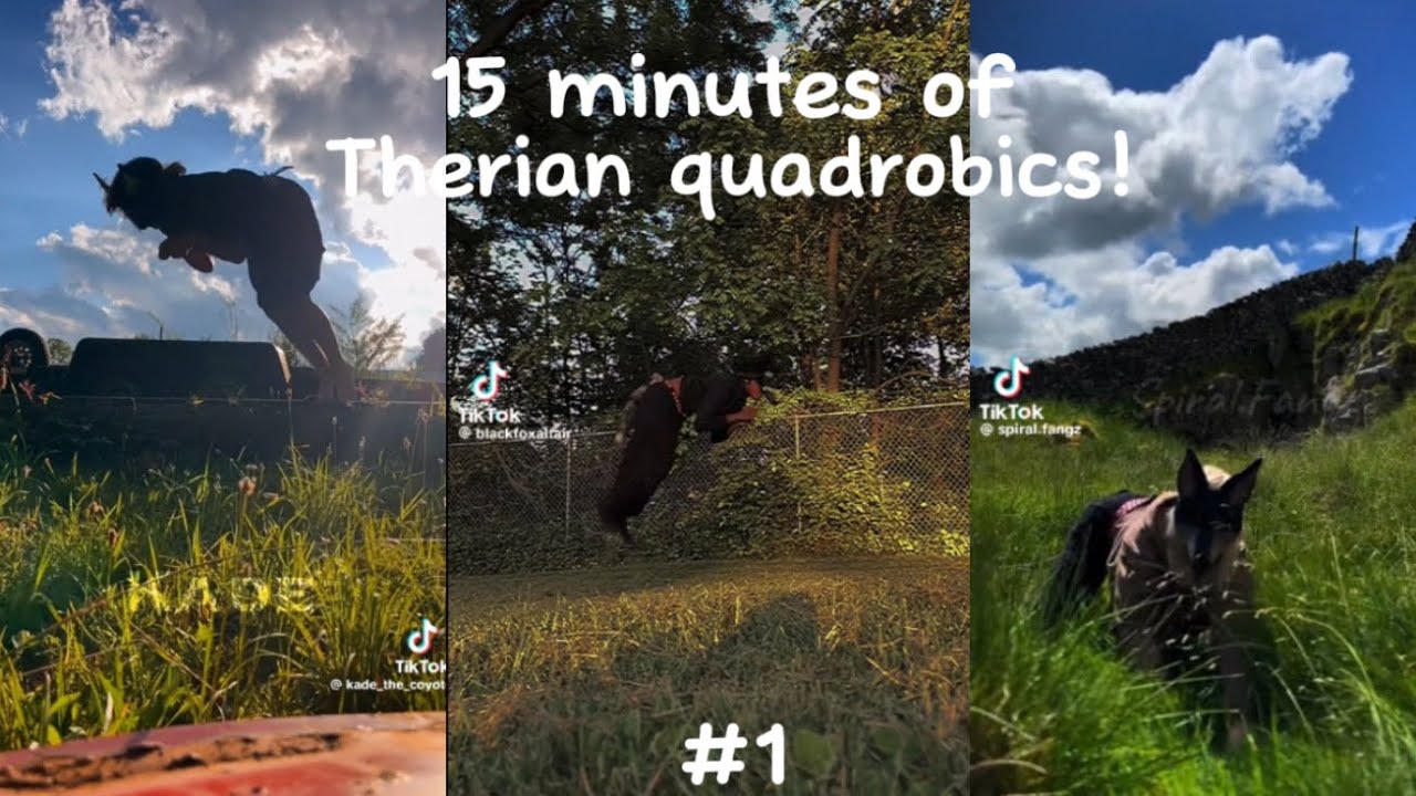 Therian Quadropics compilation || #1 || - YouTube